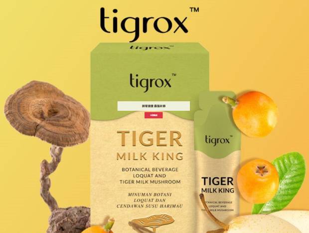 Tiger milk mushroom side effects Guide | Nutritionist Analysis - Tiger ...